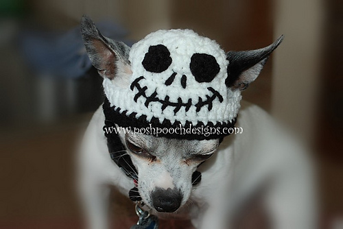 Ravelry: Skull Dog Hat pattern by Sara Sach