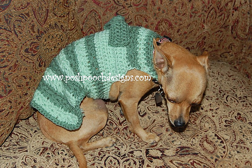 Ravelry: Star Stitch Dog Sweater pattern by Sara Sach