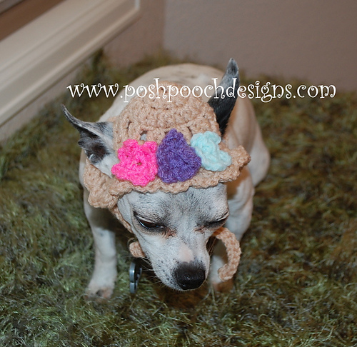Ravelry: Spring Flowers Dog Hat pattern by Sara Sach