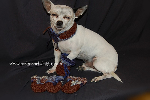 Ravelry: Dog Booties - Booties For Small Dogs pattern by Sara Sach
