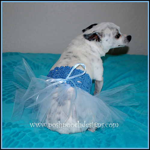 Ravelry: Doggie Tutu pattern by Sara Sach