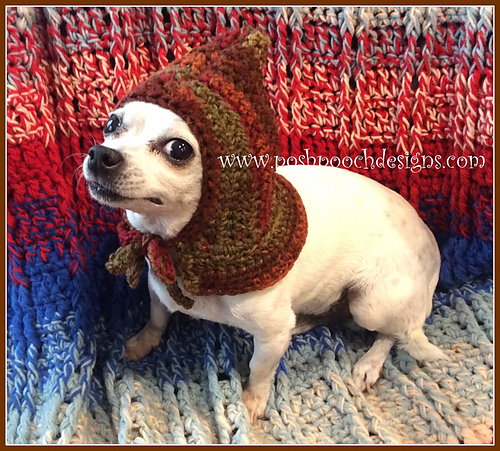 Ravelry: Hooded Dog Cape pattern by Sara Sach