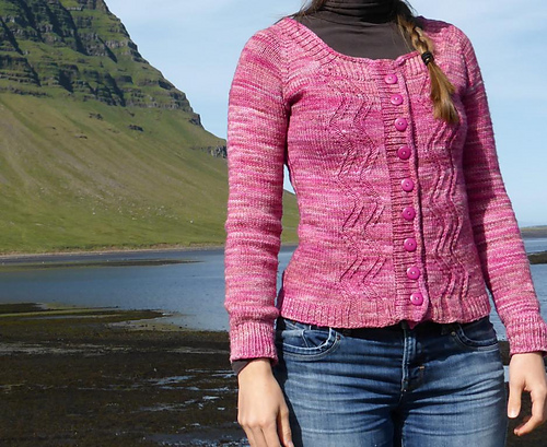 Ravelry: Alpine Cardigan pattern by schneckenstrick