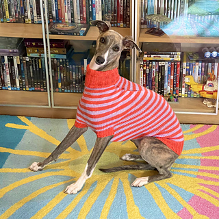 Ravelry: PrimordialSquid's Striped Pup Sweater for a Whippet