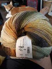 Ravelry: Berroco Wizard