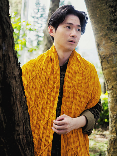 Ravelry: Trimek pattern by Rastus Hsu
