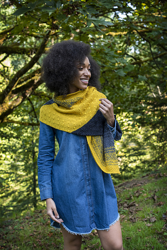 Ravelry: Meadowlark Shawl pattern by Emily Devlin