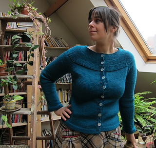 Ravelry: SakikoJones' the "bleu canard" cardigan