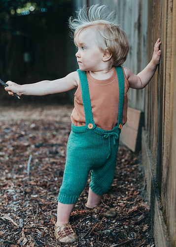 Ravelry: Tookish Britches pattern by Lisa Chemery