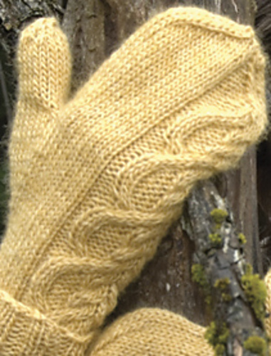 Ravelry: Thicket pattern by Susan Mills Knits