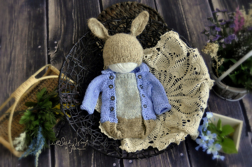 Ravelry: Peter Rabbit Button Panel Onesie pattern by Seek Wool and Flax