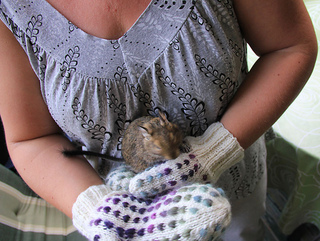 Ravelry: Selhammer's Happy Mittens