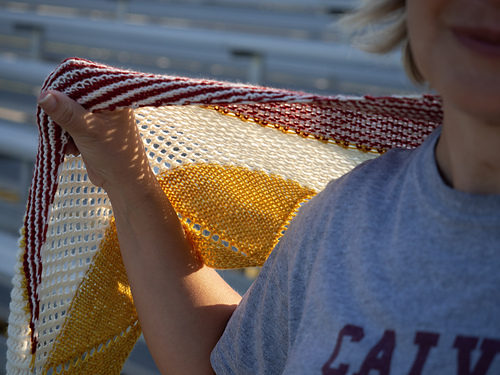 Ravelry: Sophisticated Spirit Shawl pattern by Tami J. Parks