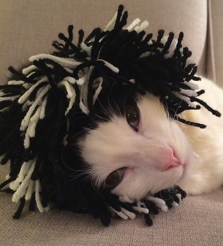 Ravelry: Cat's Mane pattern by Mer Almagro