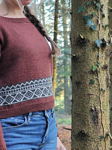 Ravelry: Red Panda Sweater pattern by Asita Krebs