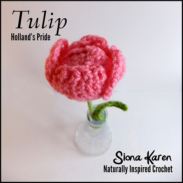 Ravelry: Tulip pattern by Siona Karen