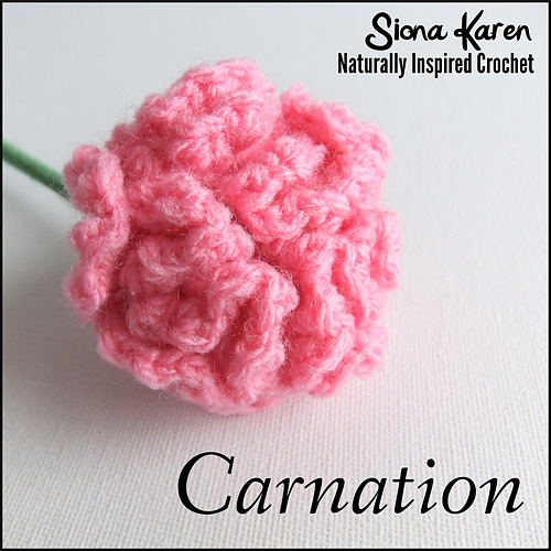 Ravelry: Carnation pattern by Siona Karen