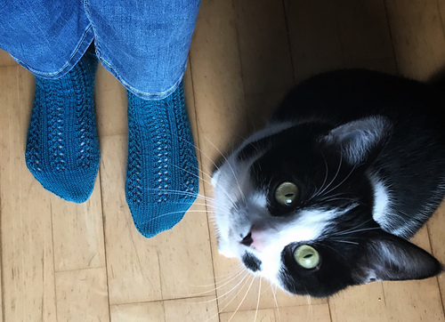 Ravelry: Lace-Rib Socks pattern by Karen Kahane