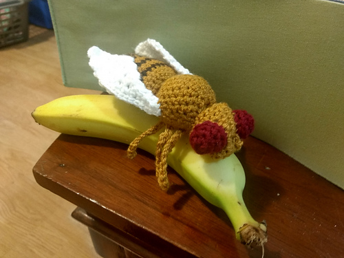 Ravelry: Model Organism: Fruit Fly pattern by Marg Crawford