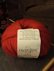 Ravelry: Cascade Yarns ® Cascade 220® Superwash