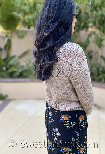 Ravelry: #324 Vianne Cardigan pattern by SweaterBabe