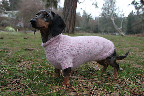 Ravelry: Mini Dachshund Piggy-Wiggy Dog Sweater pattern by Valya Boutenko
