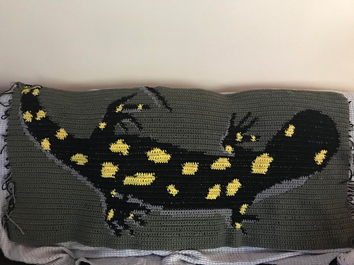 Ravelry: Spotted Salamander Blanket pattern by Stacie Renda