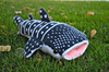 Ravelry: Whitney the Whale Shark pattern by Julia Pomeroy