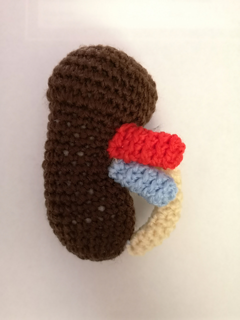 Ravelry: crocheted kidney pattern by Tahani Baakdhah
