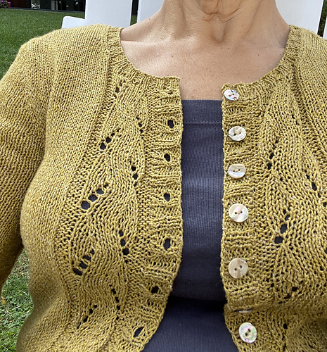 Ravelry: Ren pattern by Tonia Barry