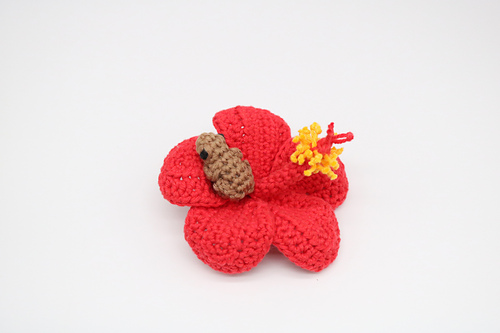 Ravelry: Puerto Rican Amazon and Coqui pattern by Maribel Montalvo