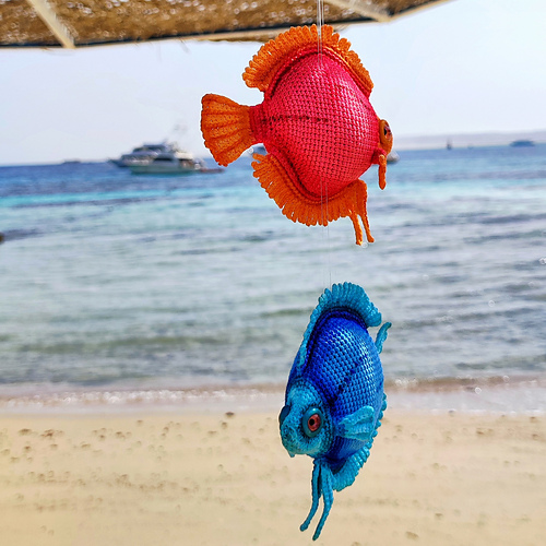 Ravelry: Discus fish pattern by Abdullina Kseniya