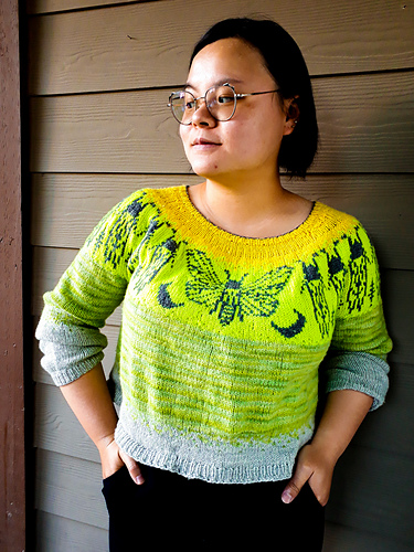 Ravelry: Brood X: Cicada Sweater pattern by Margot Erdmann