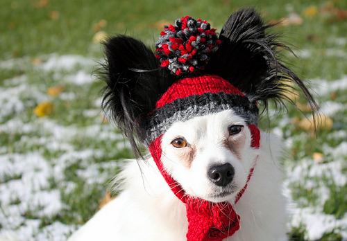 Ravelry: Cocoa Hat pattern by Corinne Niessner