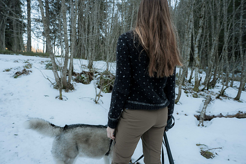 Ravelry: Wolf Winter pattern by Lív Ulven
