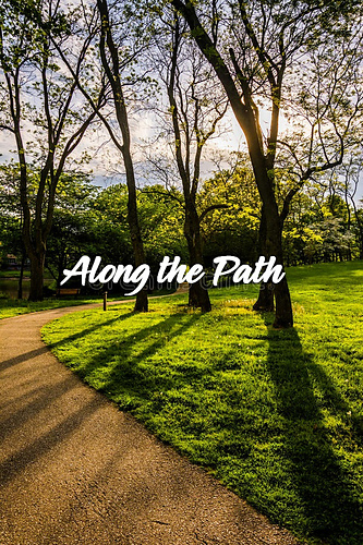 Ravelry: Along the Path pattern by ND Wolfhammer