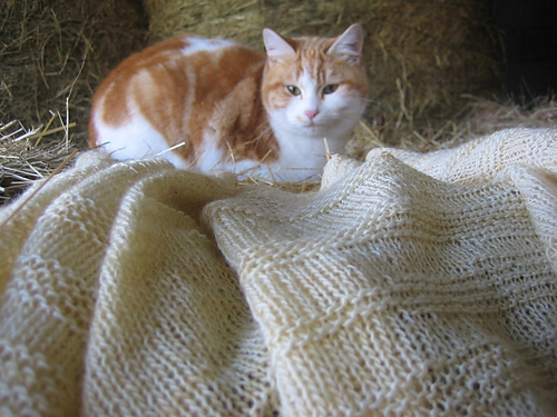 Ravelry: Contiguous Symmetric Shawl pattern by UniqueCreazioni
