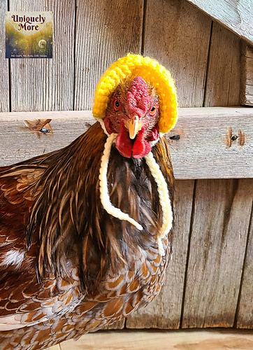 Ravelry: Bonnet for Chickens pattern by Uniquely More