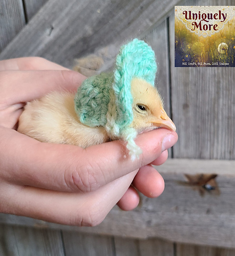 Ravelry: Sunday Bonnet for Chickens pattern by Uniquely More