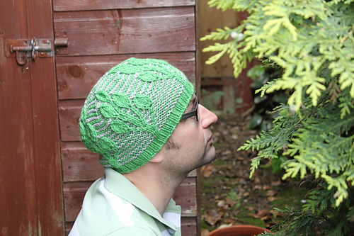 Ravelry: Arborescent pattern by Claire Slade