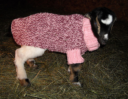 Ravelry: Baby Goat Sweater, in the round pattern by Lorna Violet