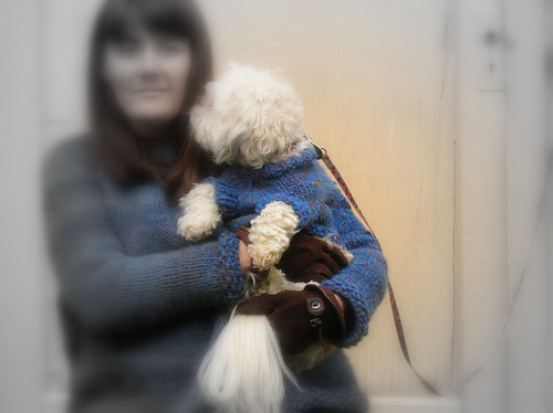 Ravelry: Puppy Sweater to Match Mom's pattern by Wee Sandy