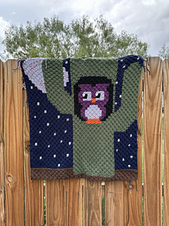 Ravelry: C2C Ophelia the Owl pattern by Wendy L Hamilton