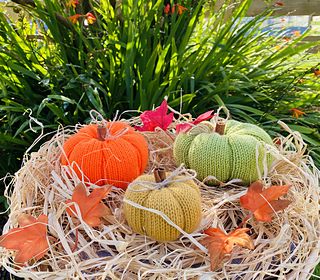 Ravelry: Simple Fall Pumpkin Patch pattern by Rhona Larkin