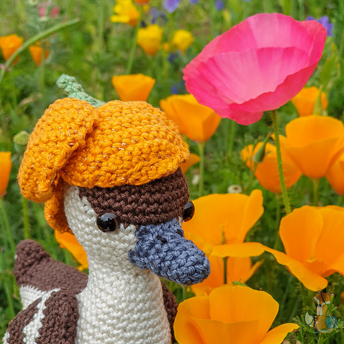 Ravelry: Poppy the duck pattern by WoollyCubs
