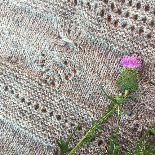 Ravelry: Highland Thistle Shawl pattern by Carolyn Holbrook