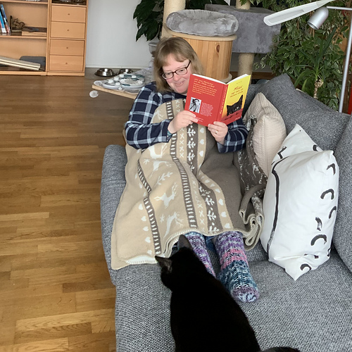 Ravelry: Lace Rib Socks pattern by Tanja Luescher