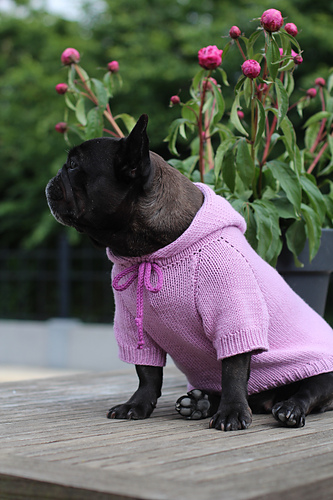 Ravelry: Basic Pet Hoodie pattern by Yanina L.- Vanwonterghem