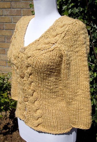 Ravelry: Fitted Jacket with Cables pattern by Anniken Allis
