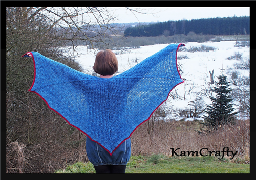 Ravelry: The Princess Batwing Shawl pattern by Kamilla Bonnichsen